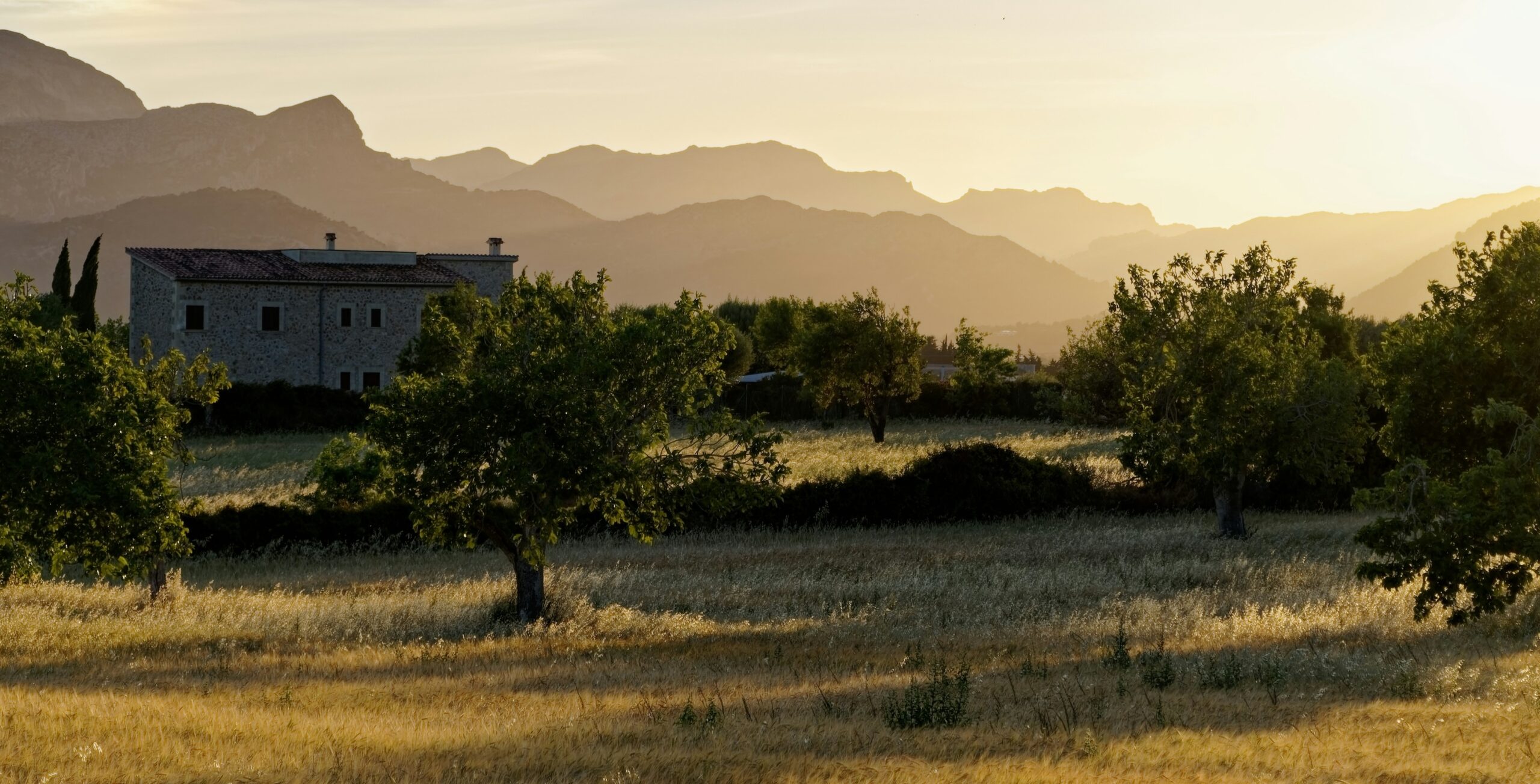 Projects and valuations | Estop