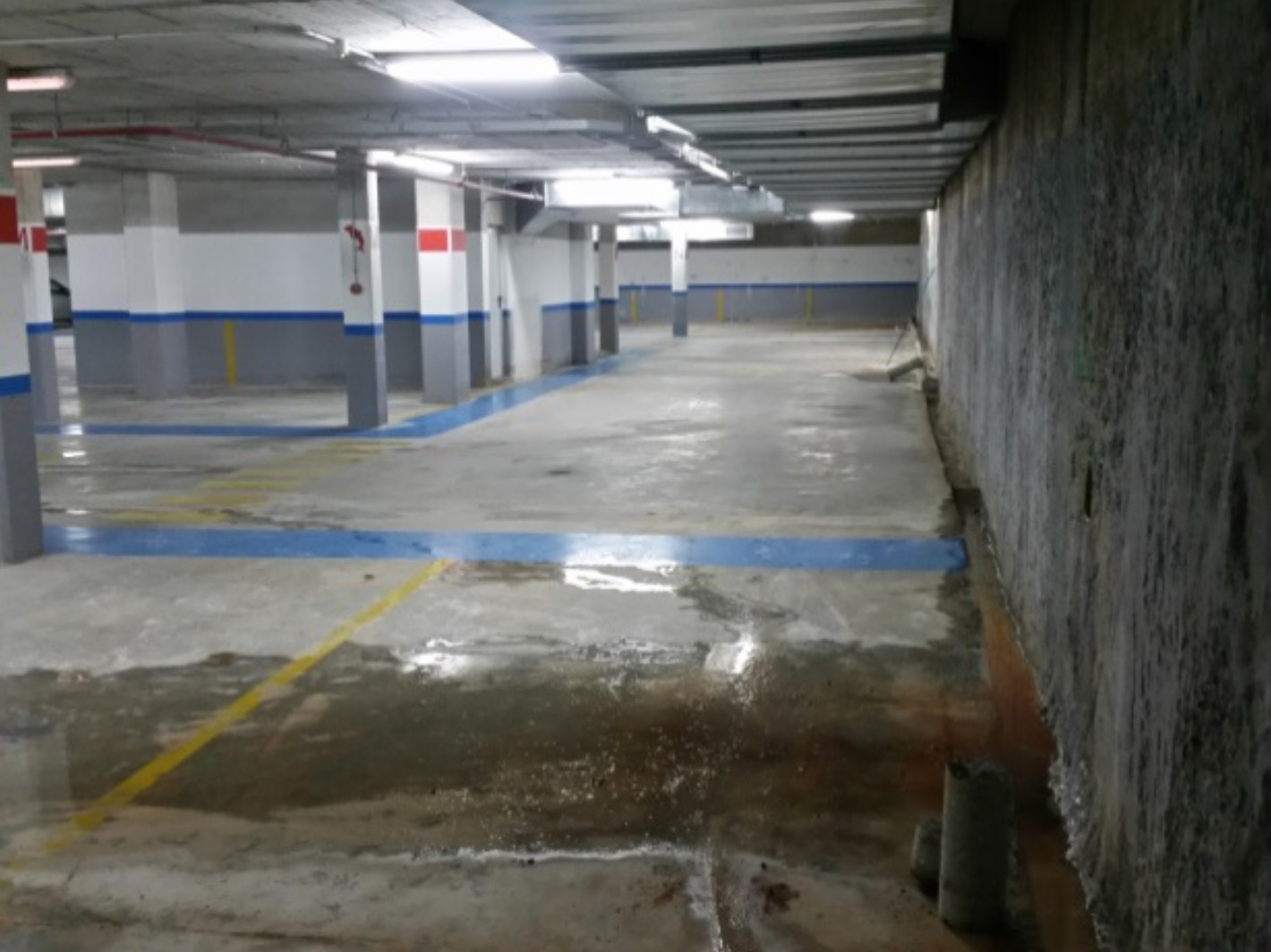 Patologías de Edificios y Estructuras | Estop